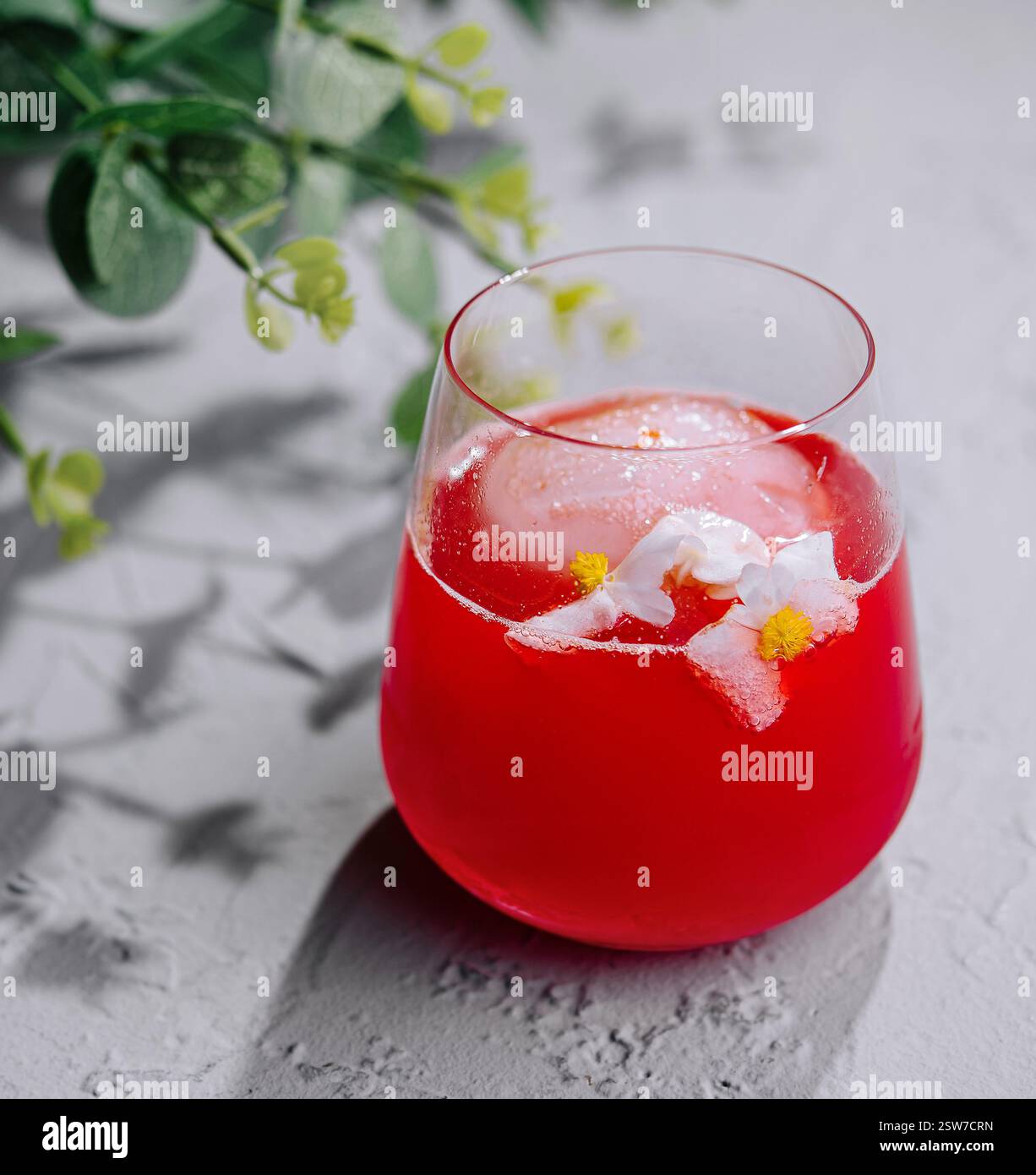 Refreshing setting hi-res stock photography and images - Alamy