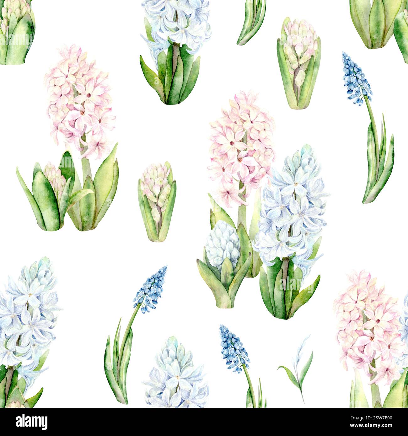 Seamless pattern of spring flowers. Hyacinths of different shades are ...