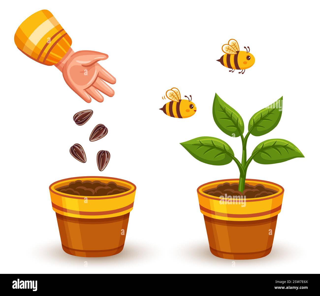 Garden plant seeding, houseplant flower seed sowing in ground, green ...