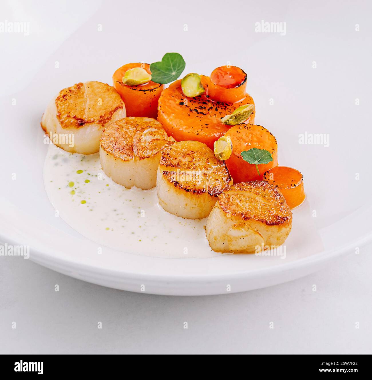 Elegant scallops appetizer on white plate Stock Photo - Alamy