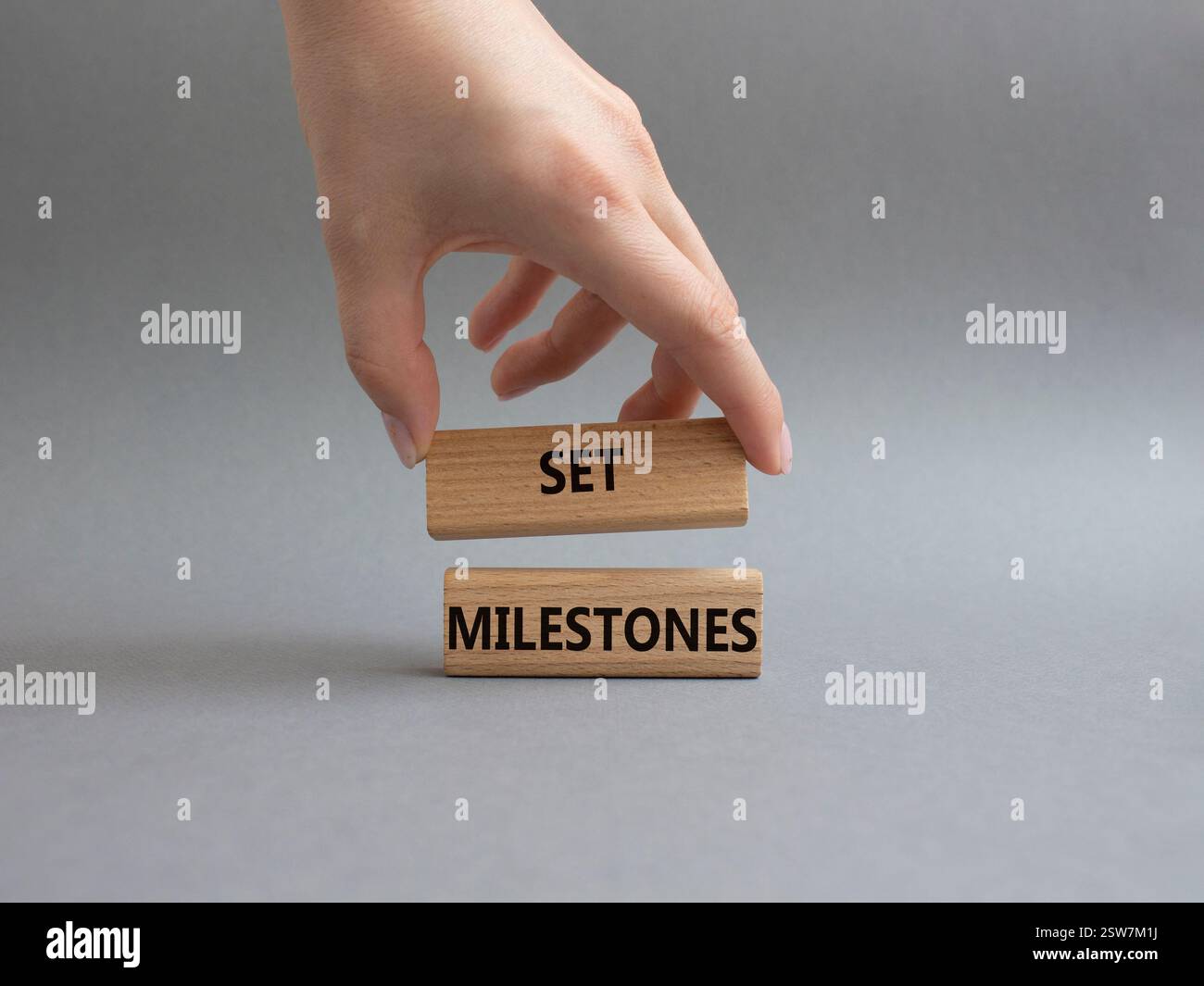 Set milestones symbol. Concept word Set milestones on wooden blocks ...
