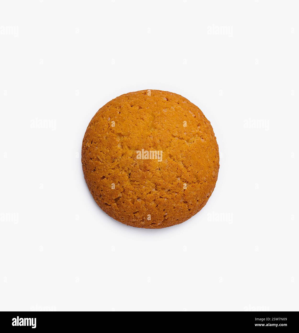 Single ginger snap cookie on white background Stock Photo - Alamy