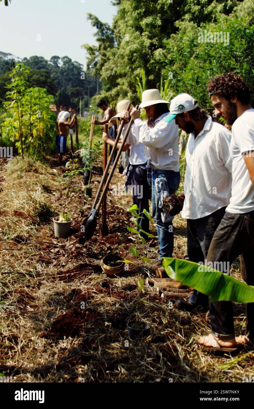 Photographs captured during agroforestry management work. They are ...