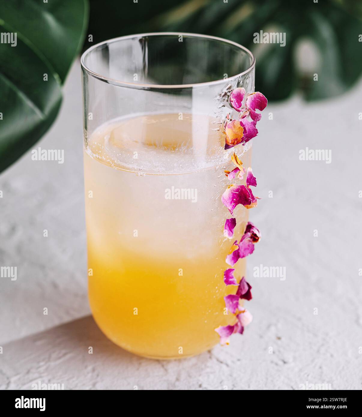 Tropical cocktail with orchid garnish Stock Photo - Alamy