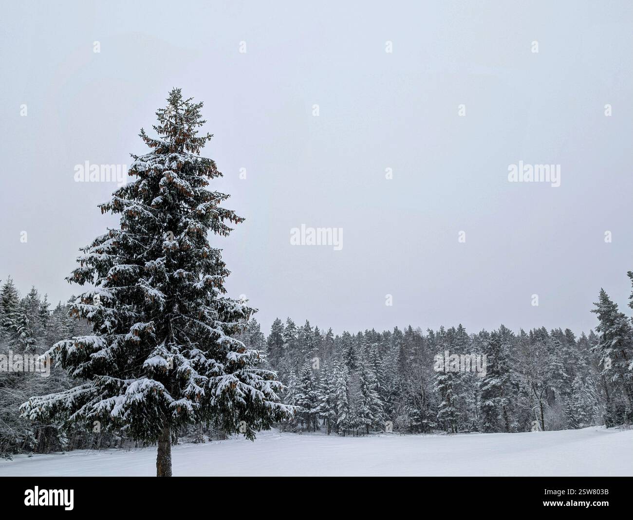 Horizontal footage scenery photograph hi-res stock photography and ...