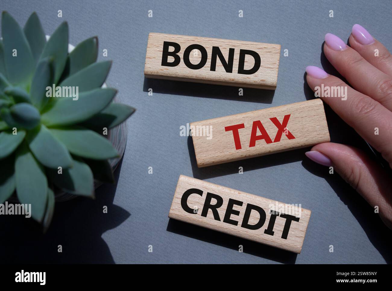Bond Tax Credit symbol. Concept word Bond Tax Credit on wooden blocks ...