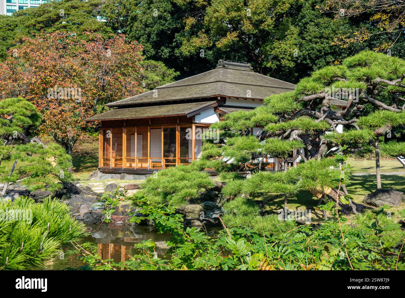 Hamarikyu Gardens, Tokyo, Japan. Autumn Stock Photo - Alamy
