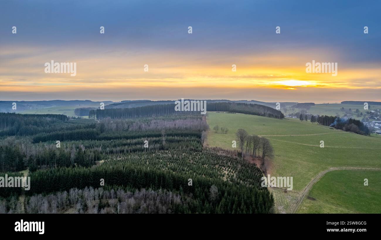 Aerial shot captures a vibrant landscape with lively fields and lush ...