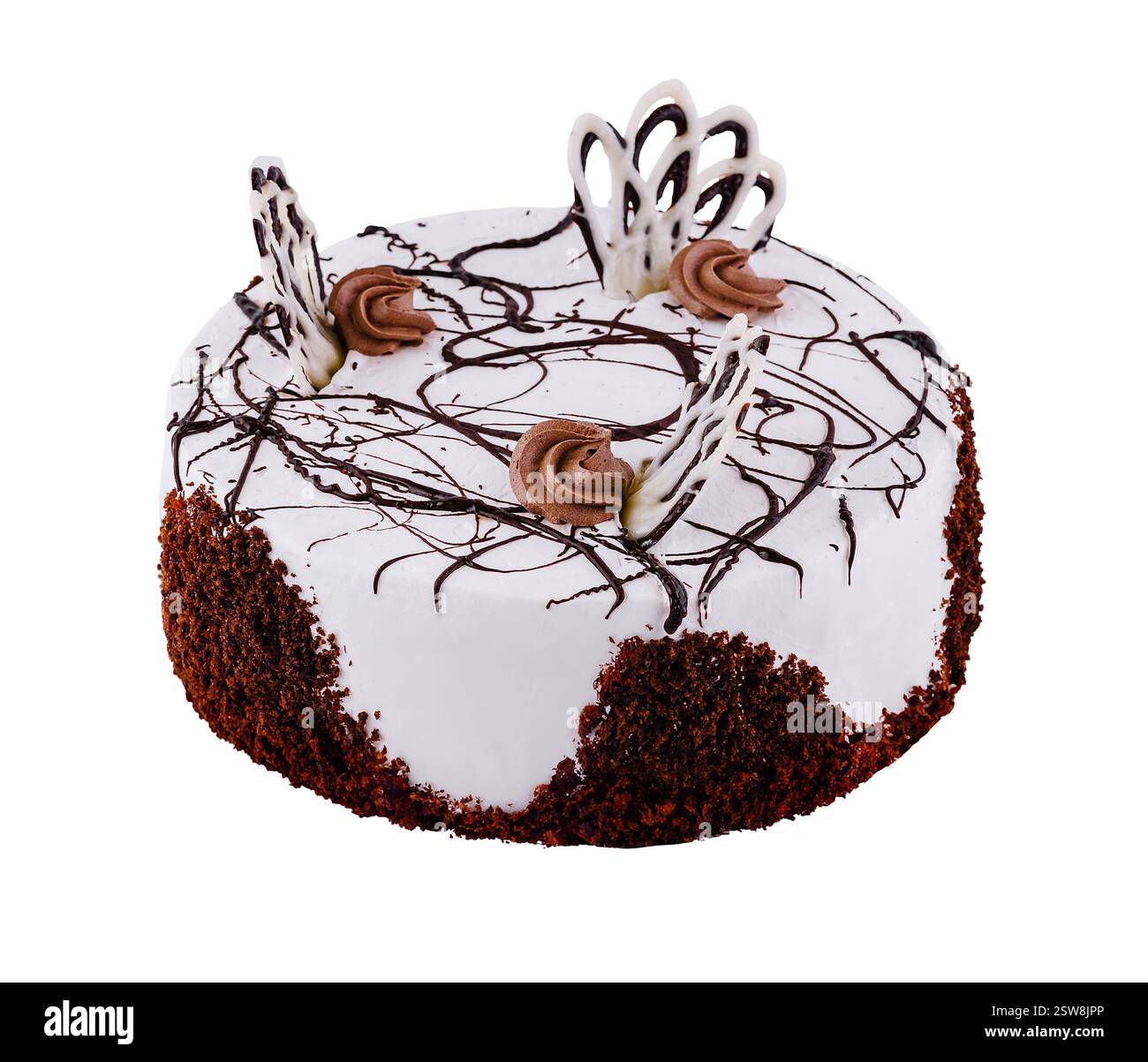 Delicious round chocolate cake with white icing and chocolate ...