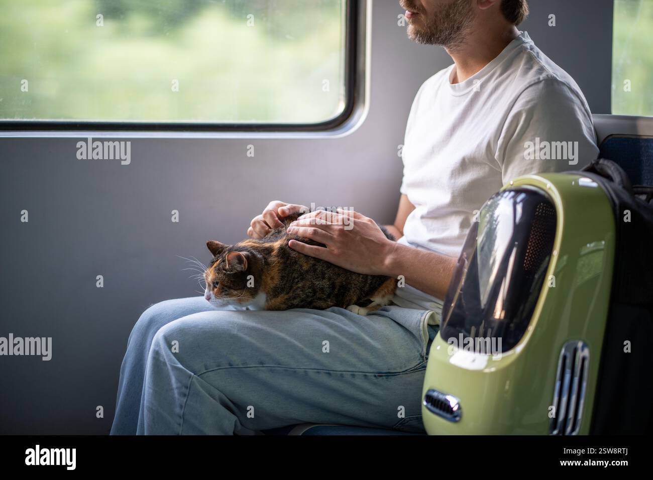 Cat owner traveling in electric train gentle touching pet lying on lap ...