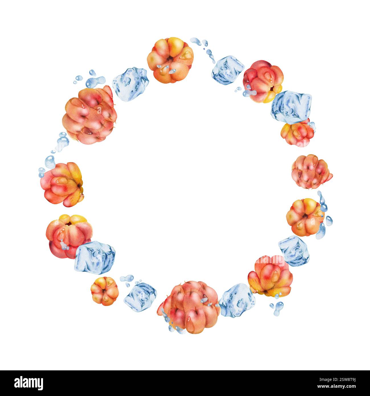 Cloudberry raspberry flying in water waves splashes drops, hand drawn ...