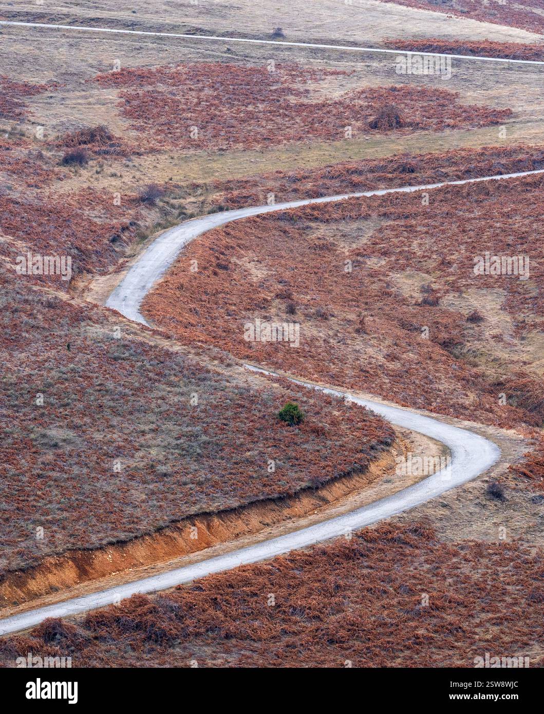 Scenic winding road through arid hi-res stock photography and images ...