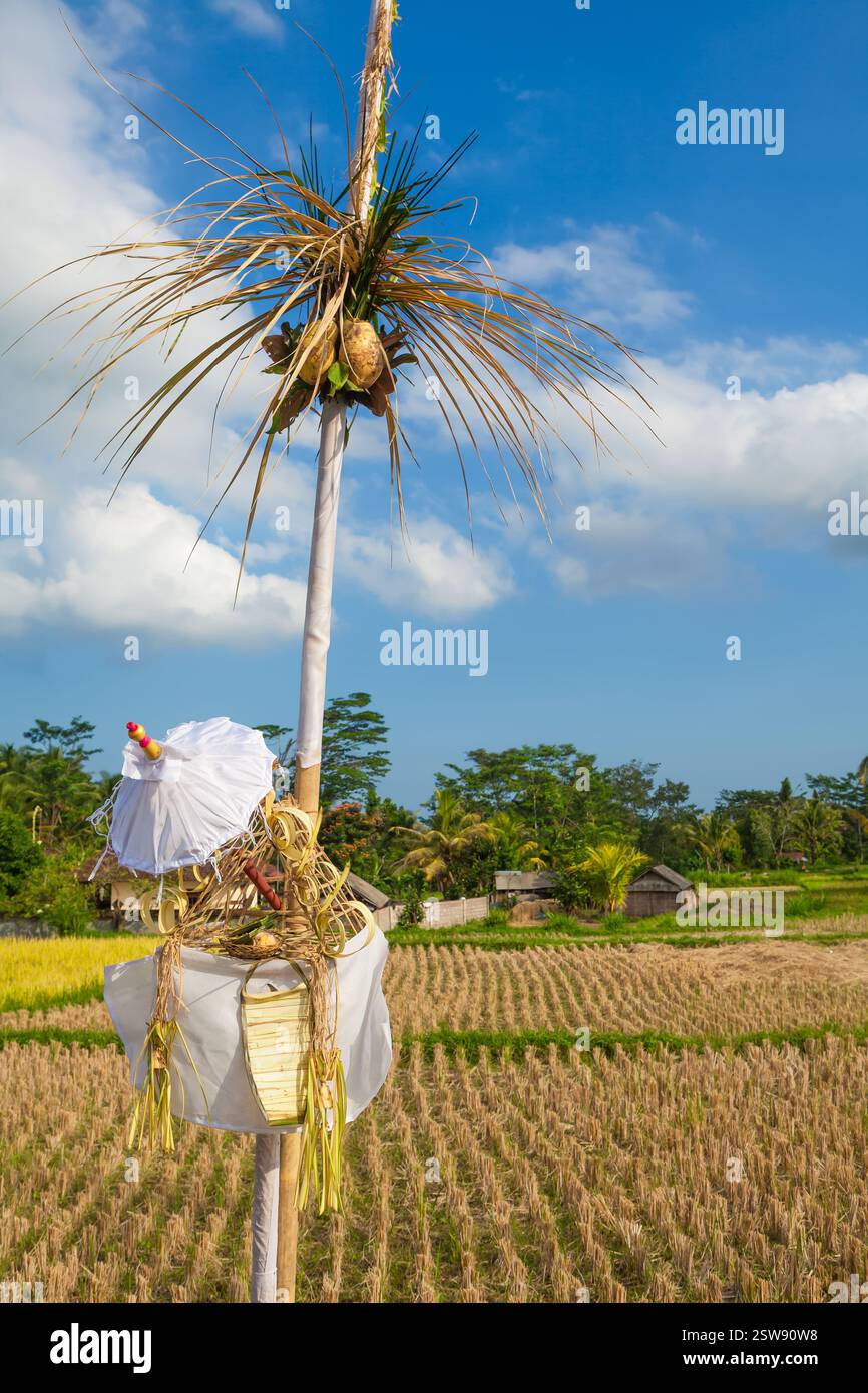 Traditional Bali Penjor, bamboo pole with decoration on village street ...