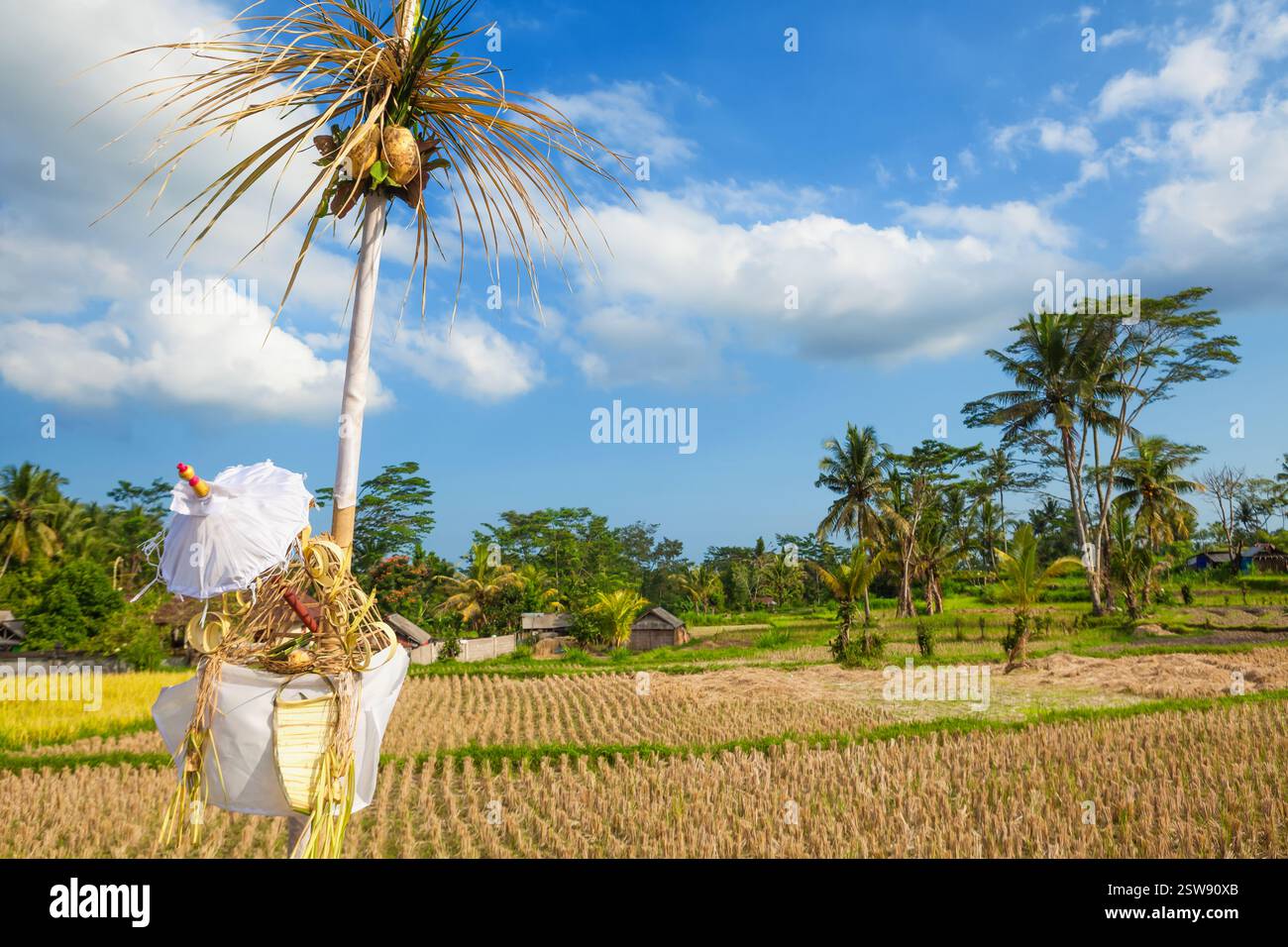 Traditional Bali Penjor, bamboo pole with decoration on village street ...