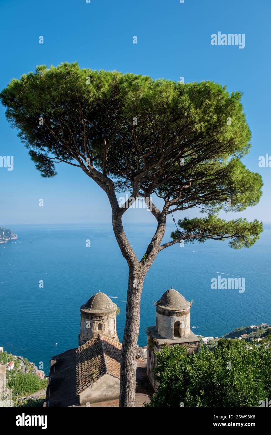 Breathtaking views of the Amalfi Coast with a solitary pine tree under ...