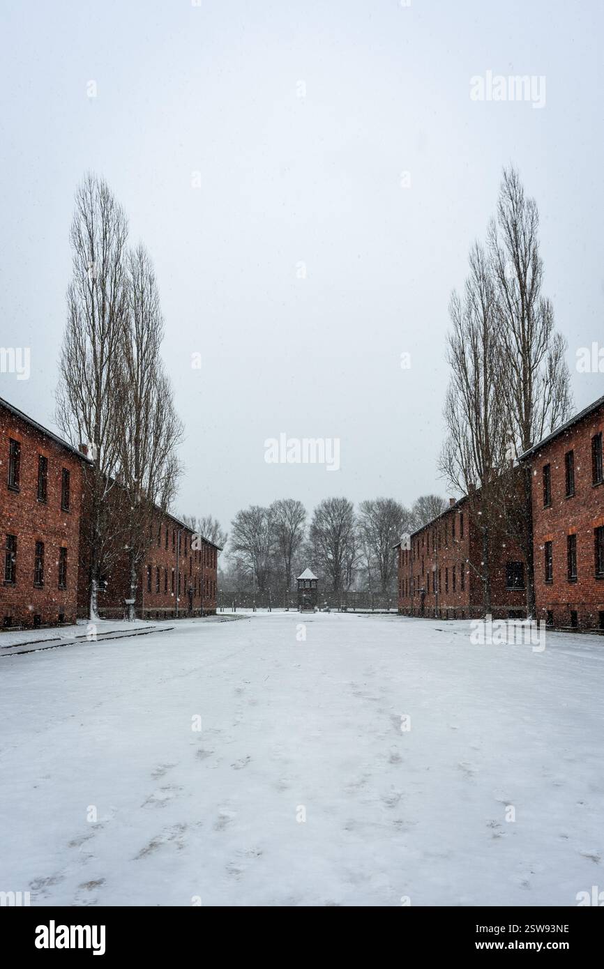 Auschwitz barracks on a snowy winter day with a watchtower in the ...