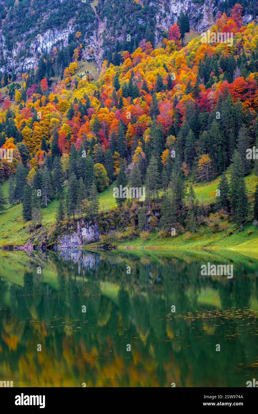 Vibrant autumn foliage paints the landscape around Falensee, while the ...
