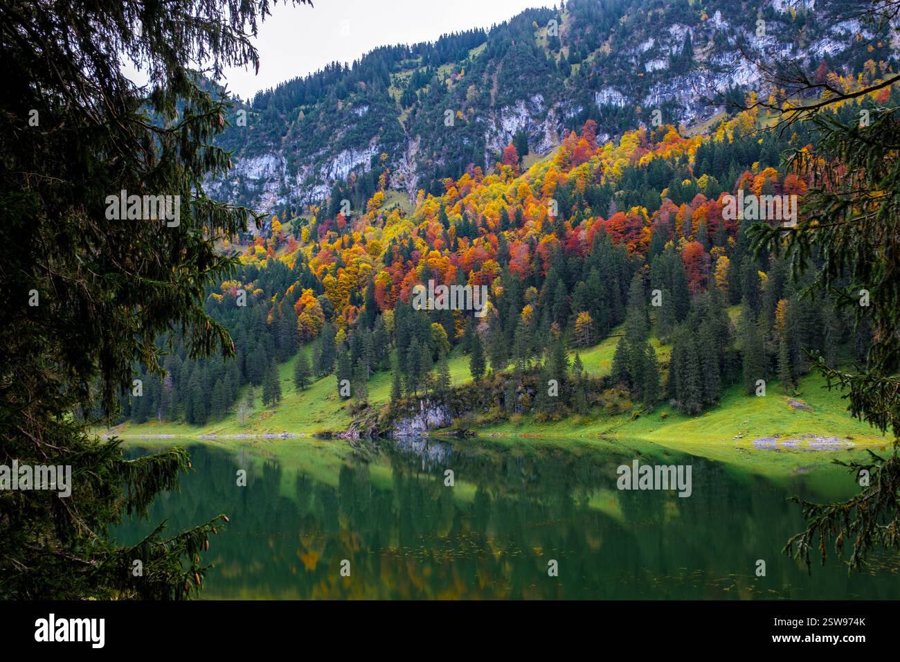 Discover the stunning fall colors of Falensee in Appenzell, Switzerland ...