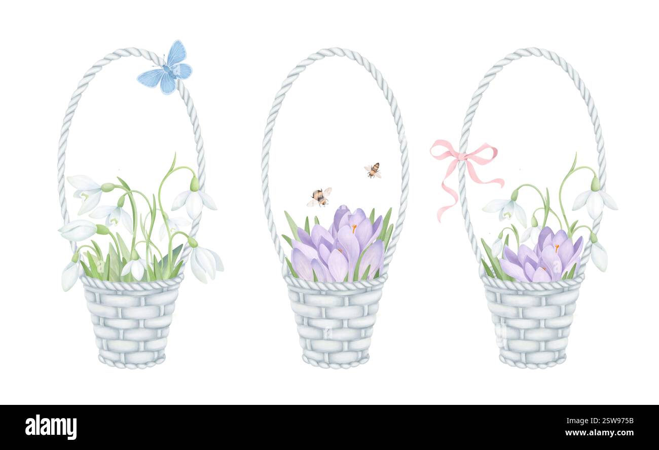 Baskets with spring flowers. Hand drawn watercolor illustration set ...