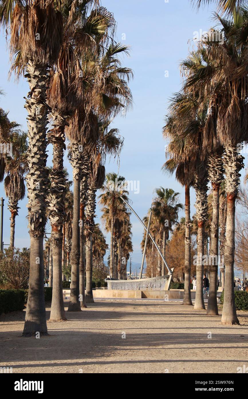 Valencia, Spain- February 8, 2025: Promenade with palm trees next to ...