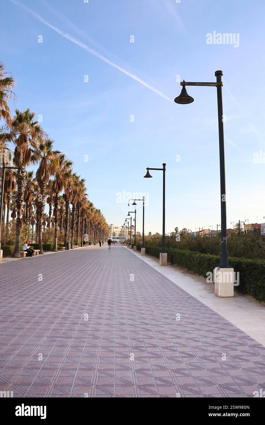 Valencia, Spain- February 8, 2025: Promenade with palm trees next to ...