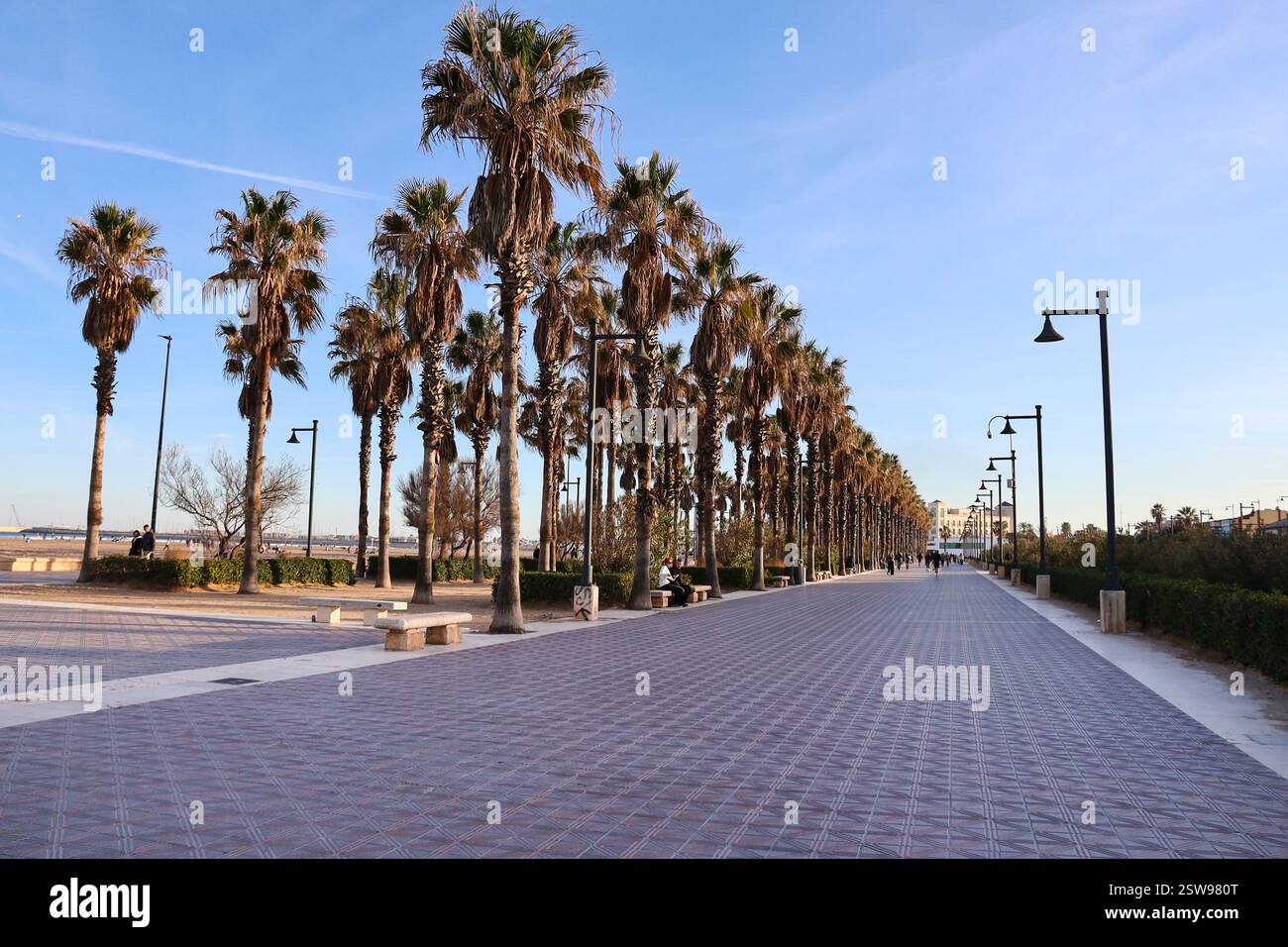 Valencia, Spain- February 8, 2025: Promenade with palm trees next to ...