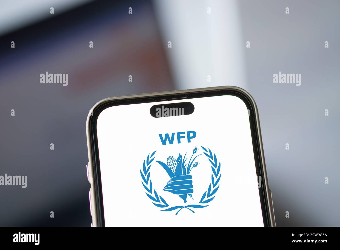 Dhaka, Bangladesh- 02 Nov 2024: World Food Programme (WFP) logo is displayed on smartphone Stock ...
