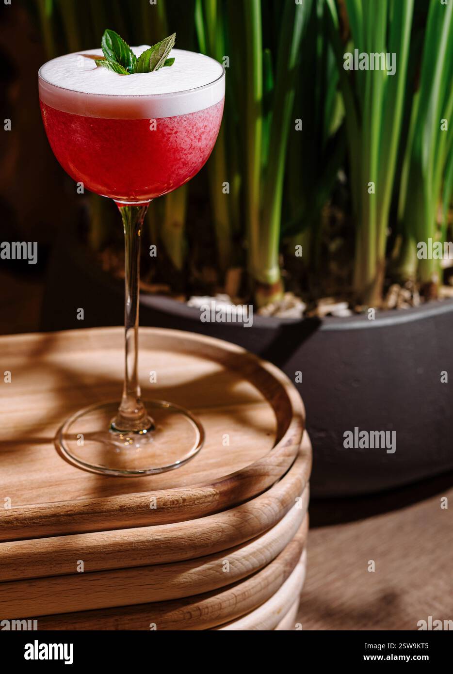 Red cocktail standing on wooden tray with green plant background Stock ...