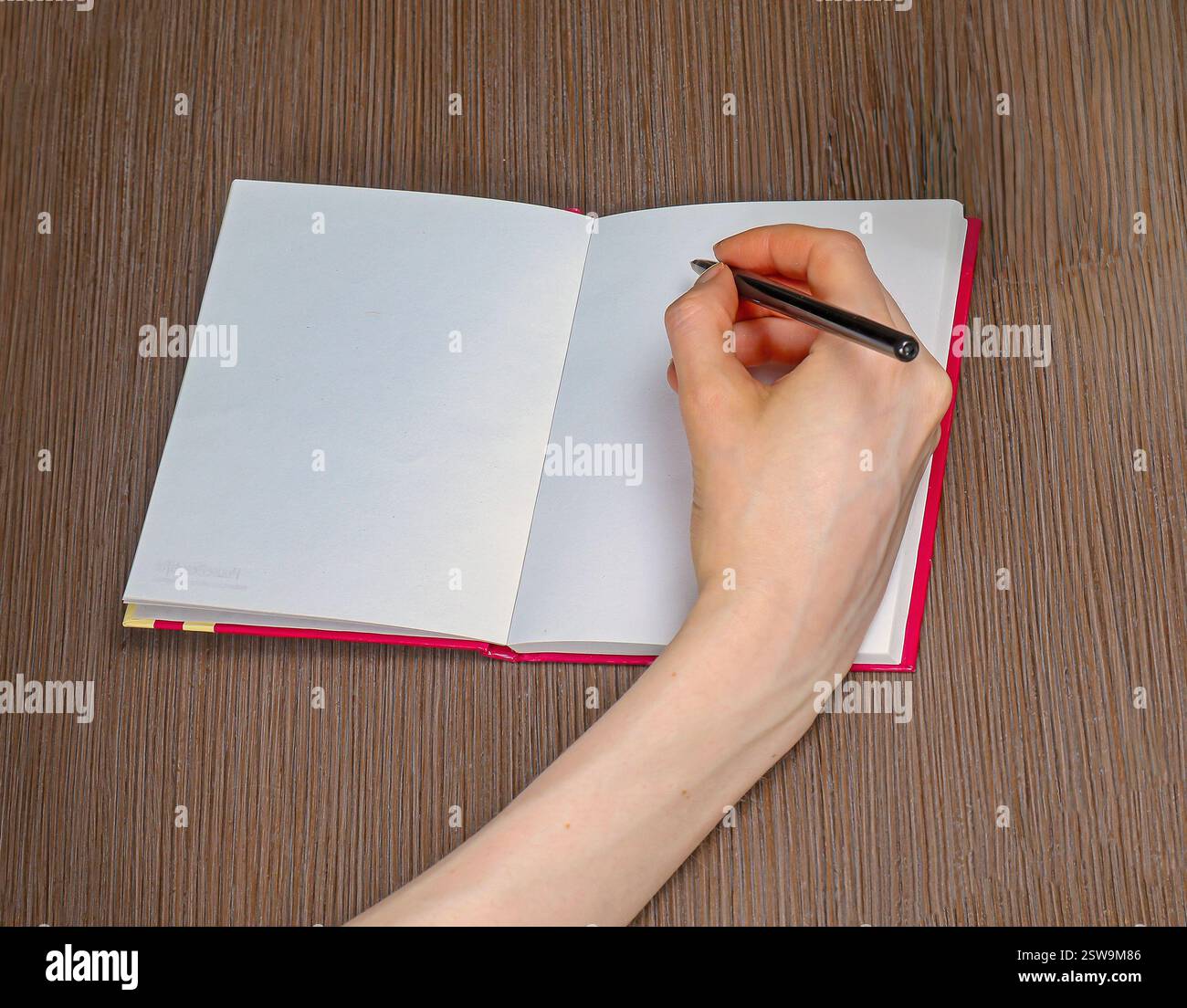 Female hand holding pen preparing to write in an empty page Stock Photo ...