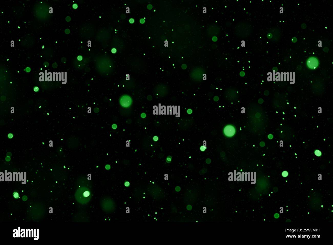 Abstract green particles glowing against a dark background creating a ...