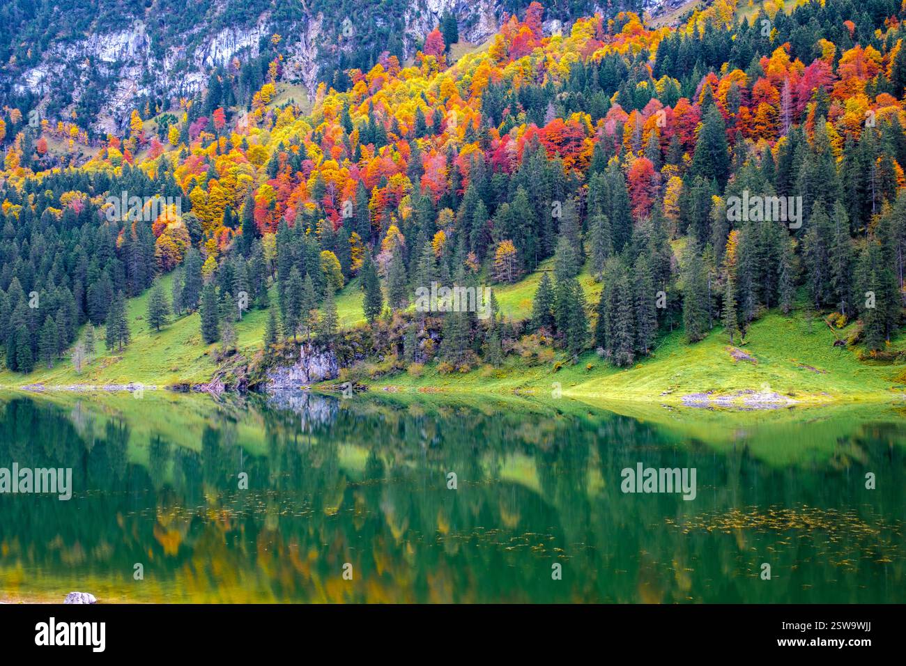 Reflecting brilliant hues of orange hi-res stock photography and images ...
