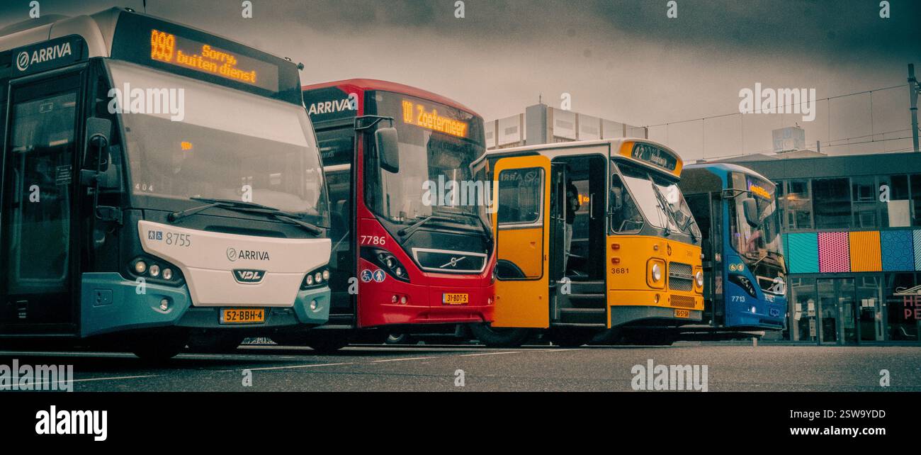A lineup of colorful buses stretches in front of a vibrant billboard ...
