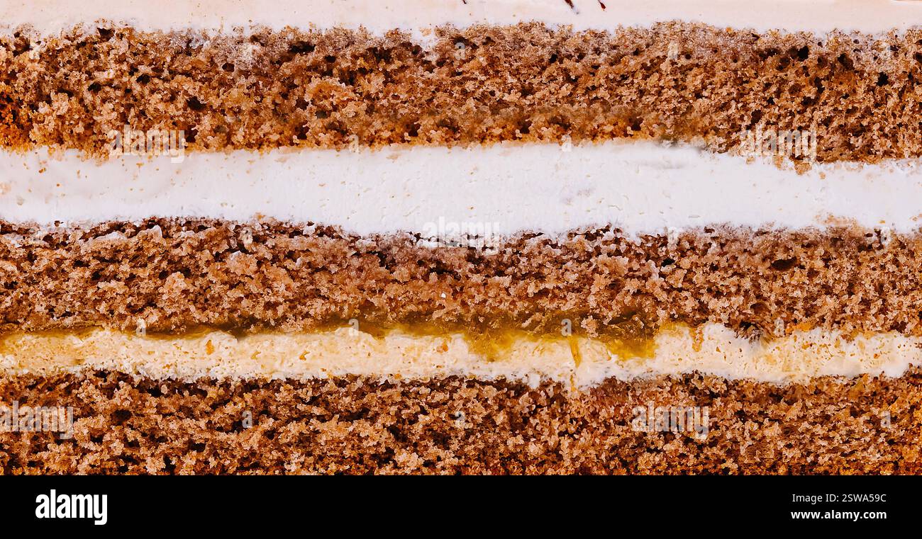 Delicious cake layers showing filling and frosting texture Stock Photo ...