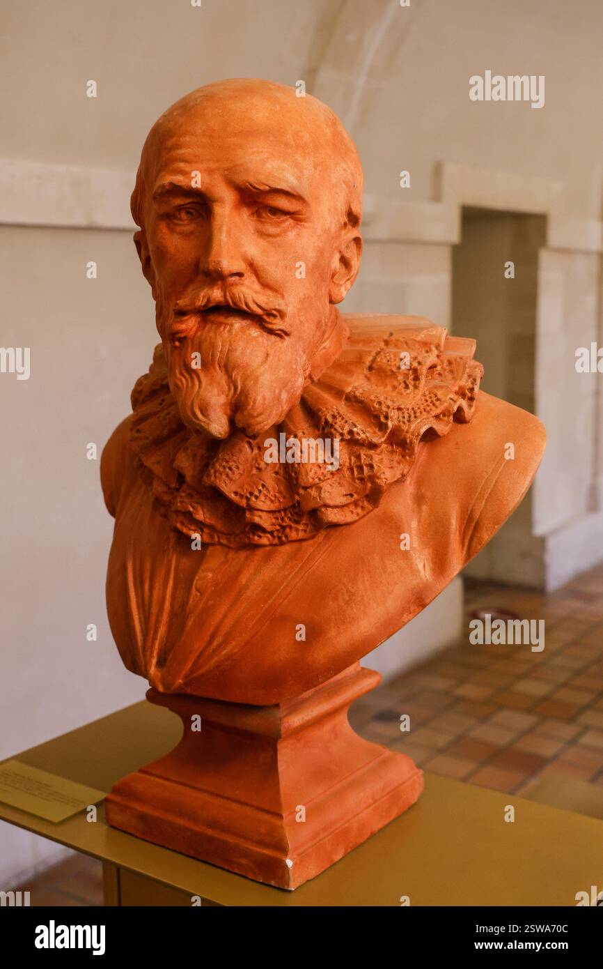 Official royal surgeon hi-res stock photography and images - Alamy