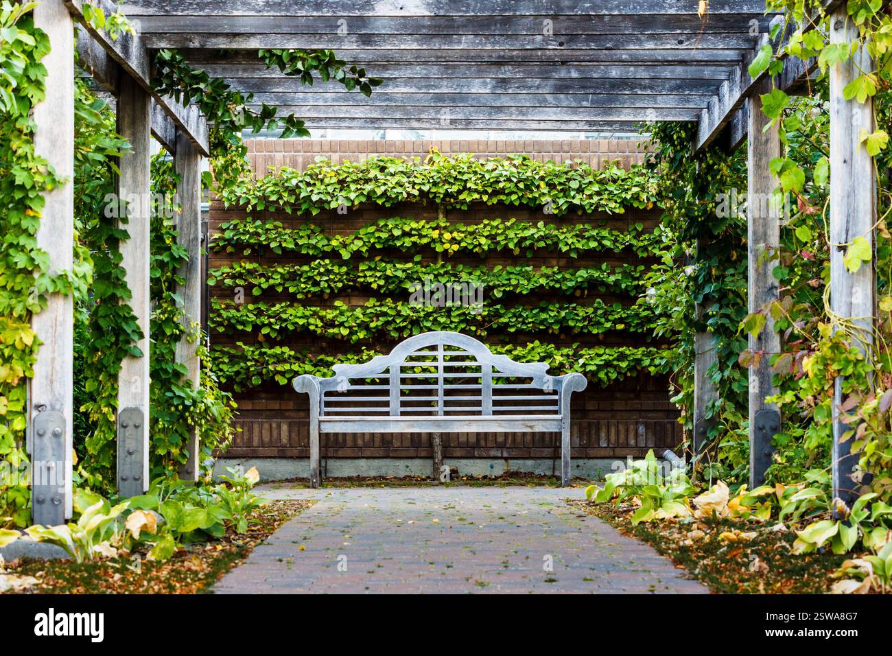 Arch green foliage empty hi-res stock photography and images - Alamy