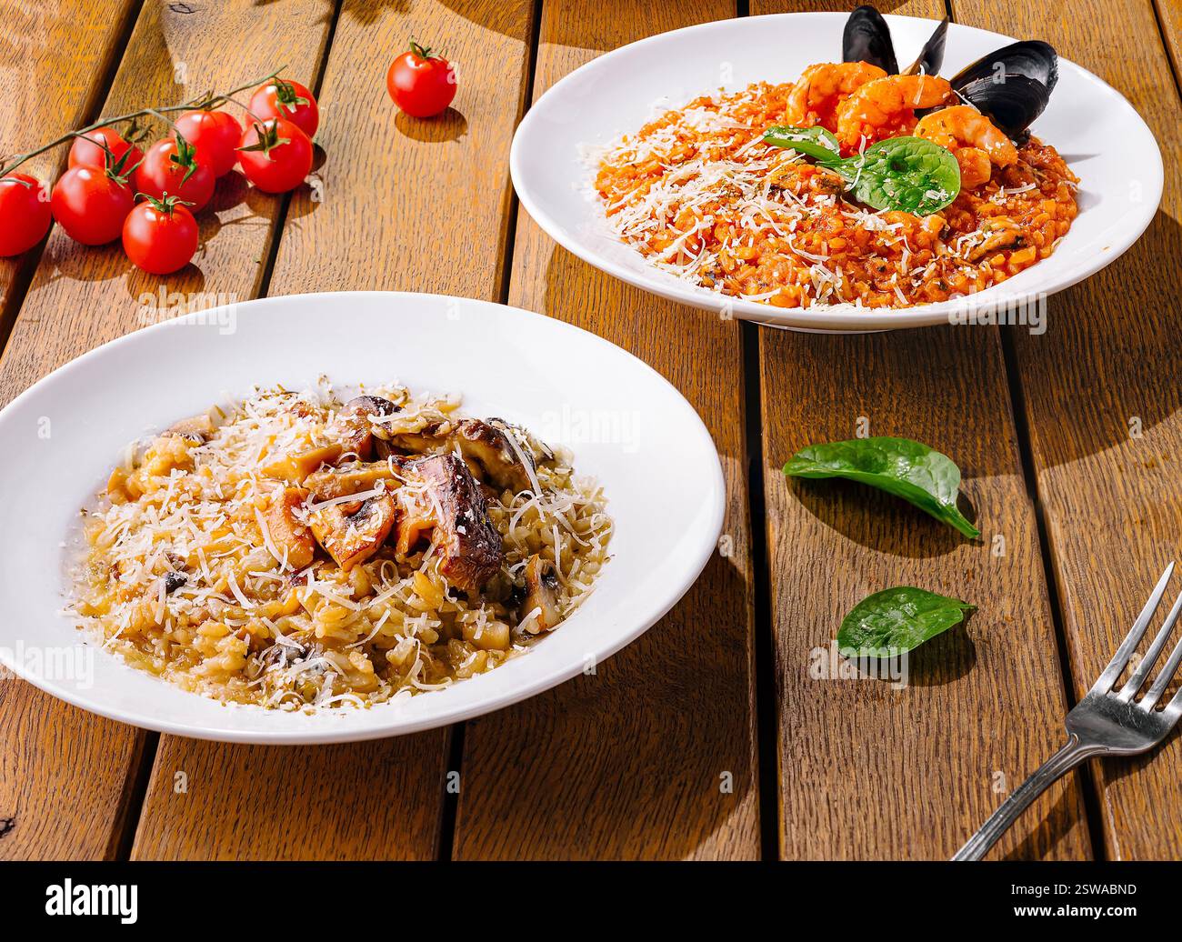 Sumptuous display of two italian pasta dishes, perfectly arranged for ...