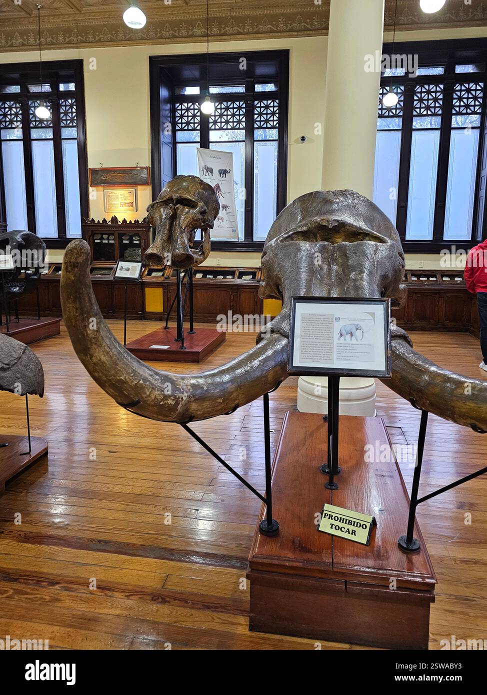 Mexico City, Mexico - Jan 31 2024: UNAM Geology Museum, located in the ...