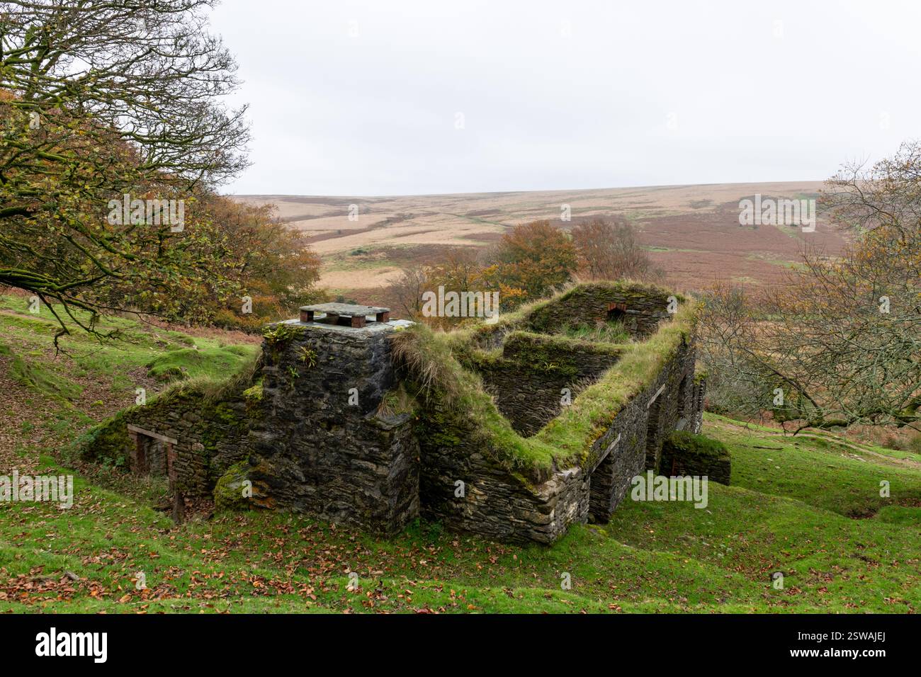 Photo of the autumn colours at Hoar Oak cottage in Hoar Oak valley in ...