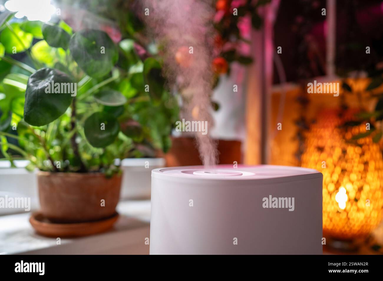 Modern ultrasonic air humidifier stand on the floor near window and ...