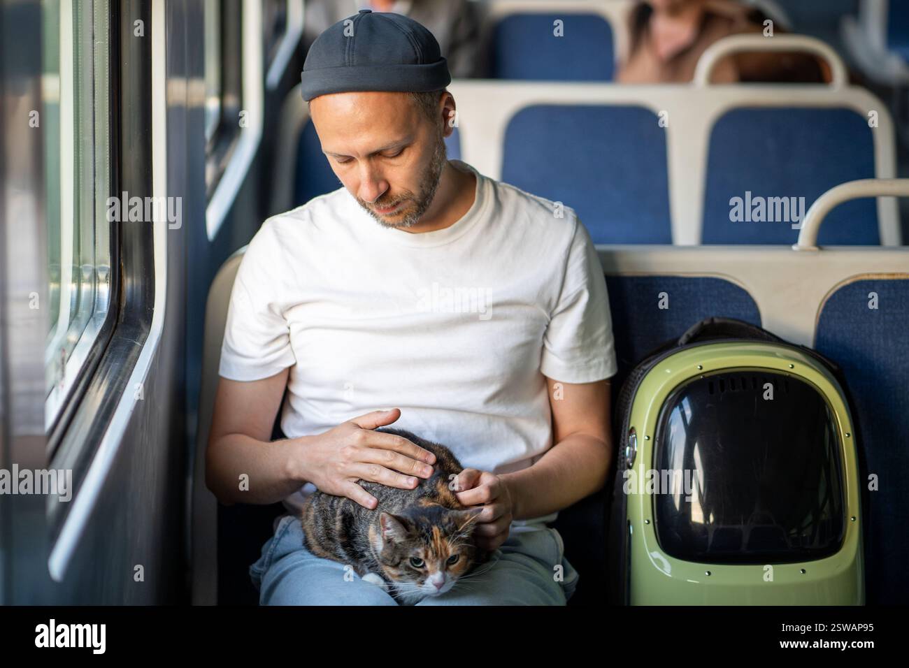 Cat owner traveling in electric train gentle touching pet lying on lap ...