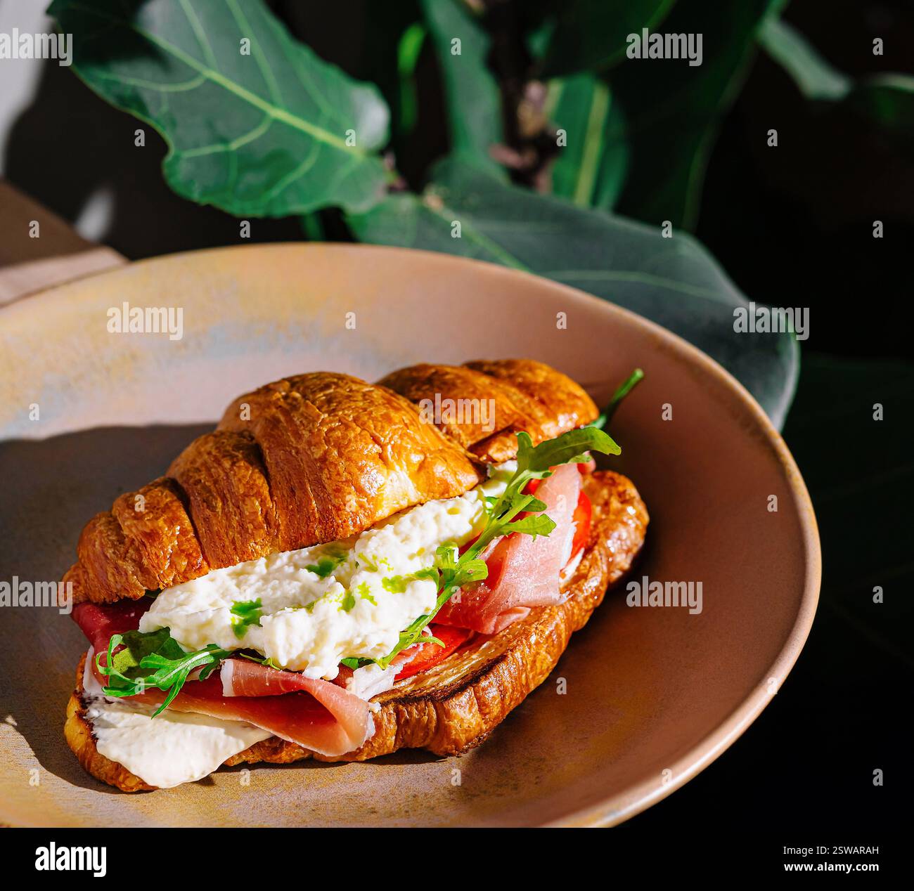 Freshly baked croissant with prosciutto, soft cheese, arugula and ...
