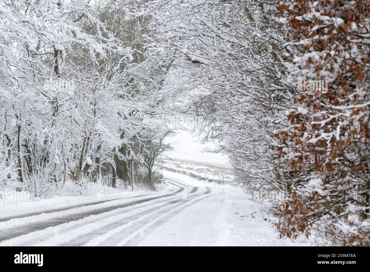 The A684 between Hawes and Sedbergh with the road and tress covered in ...