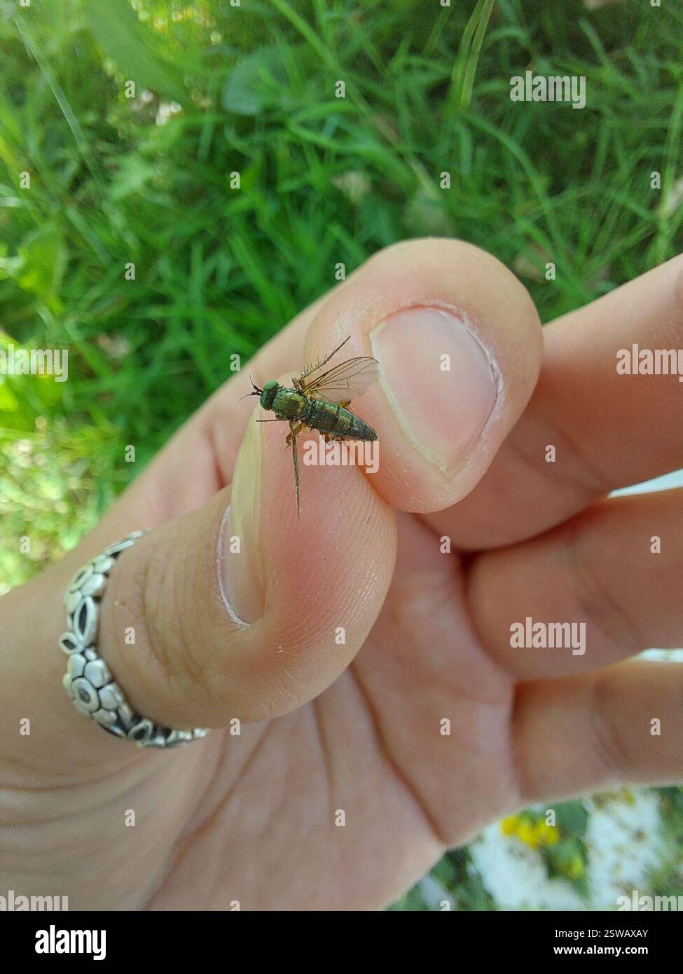 Hasle aarhus hi-res stock photography and images - Alamy