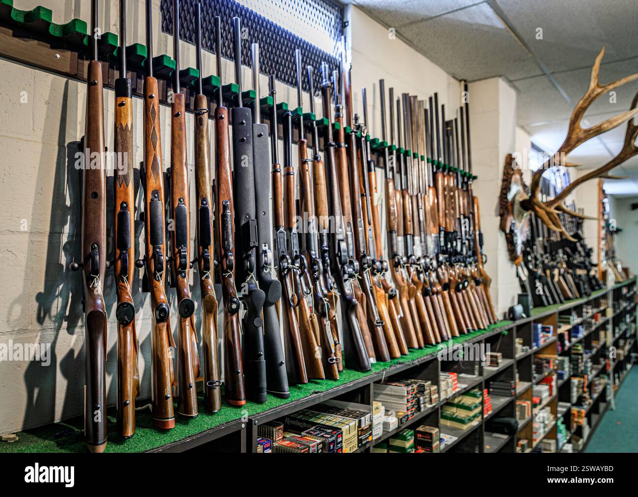 Placerville, USA - October 1, 2022: Gun store interior with rifles on ...