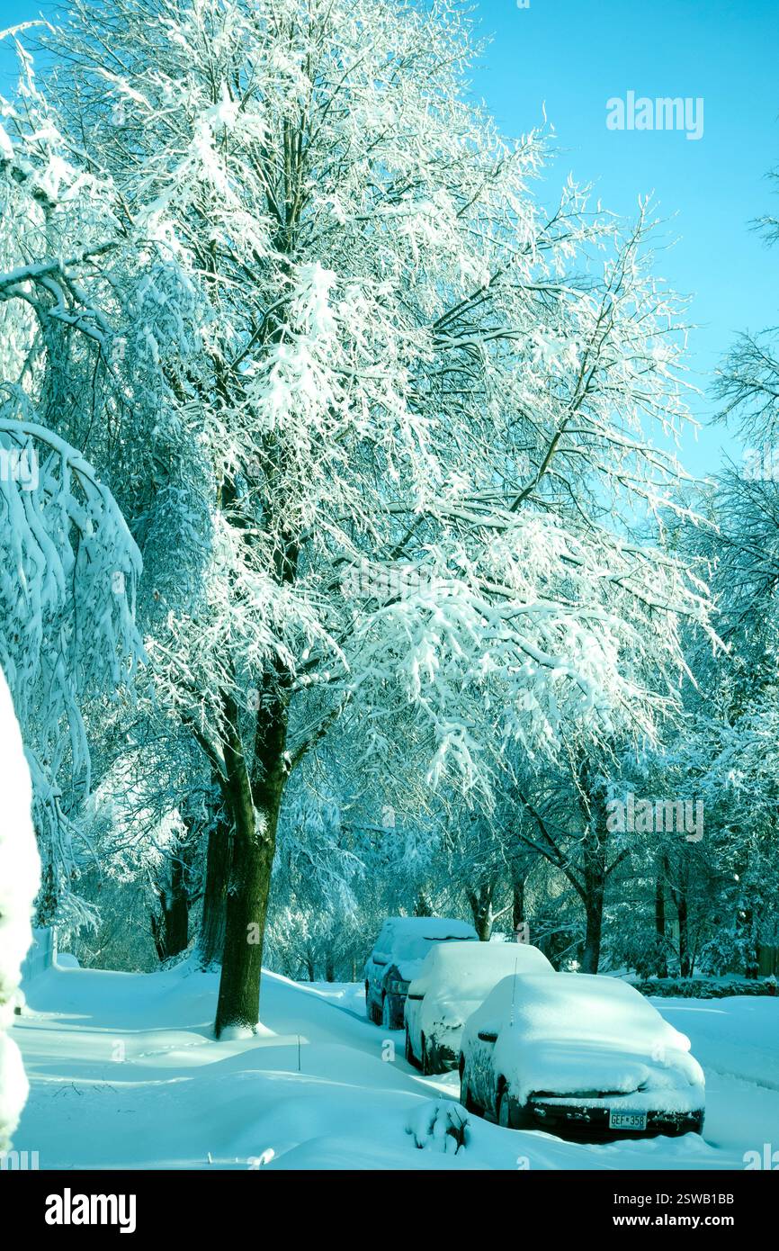 Beautiful city streets white feathery snow covered cars trees hi-res ...