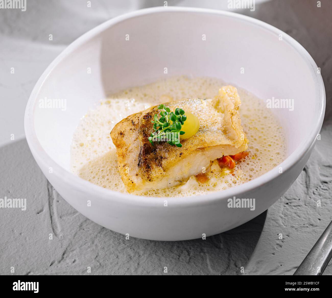 Gourmet fish fillet in creamy sauce on stone background Stock Photo - Alamy
