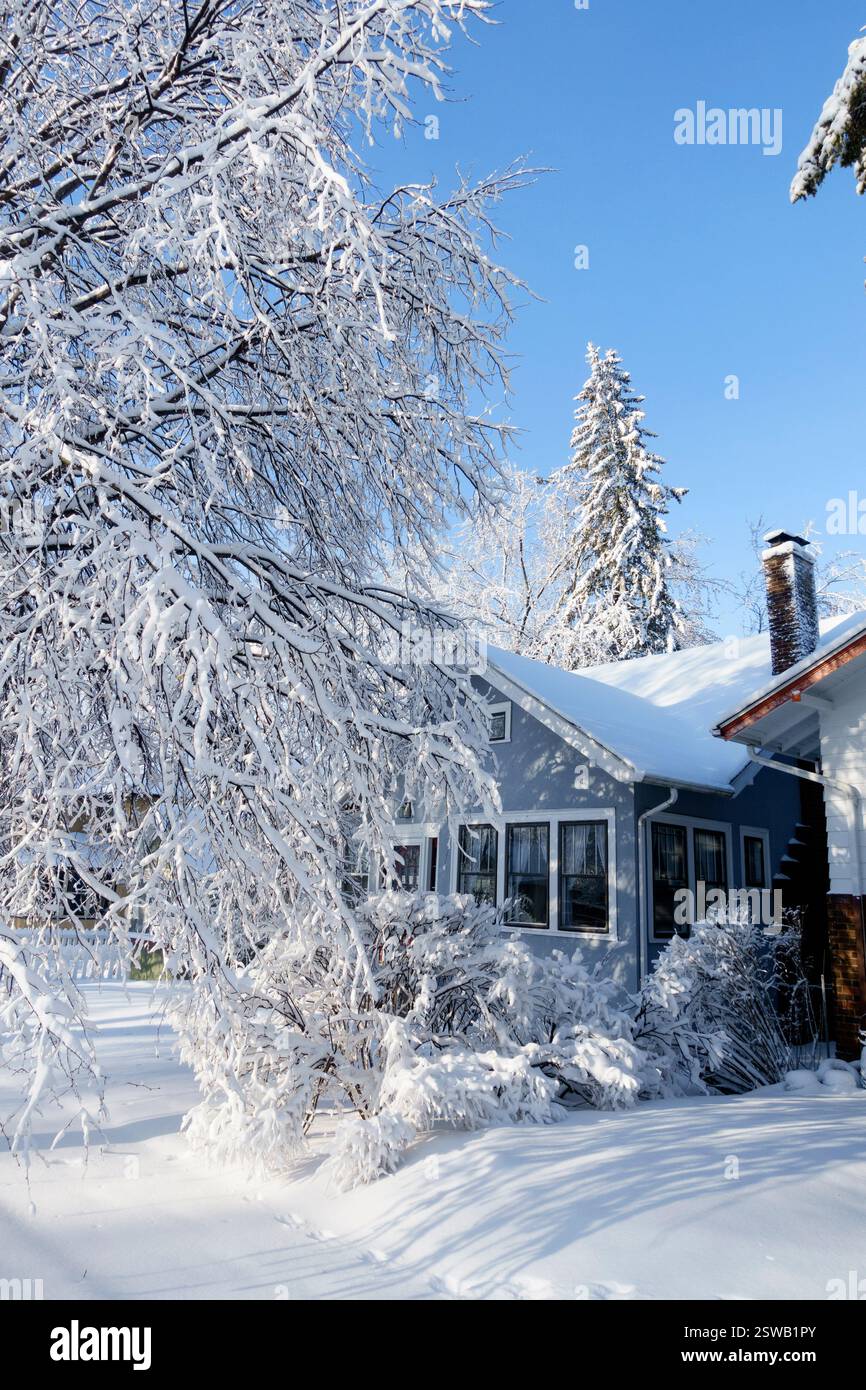 Beautiful city streets white feathery snow covered cars trees hi-res ...
