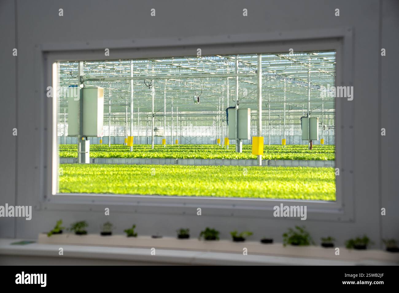 Window from laboratory to greenhouse with fields and irrigation system ...