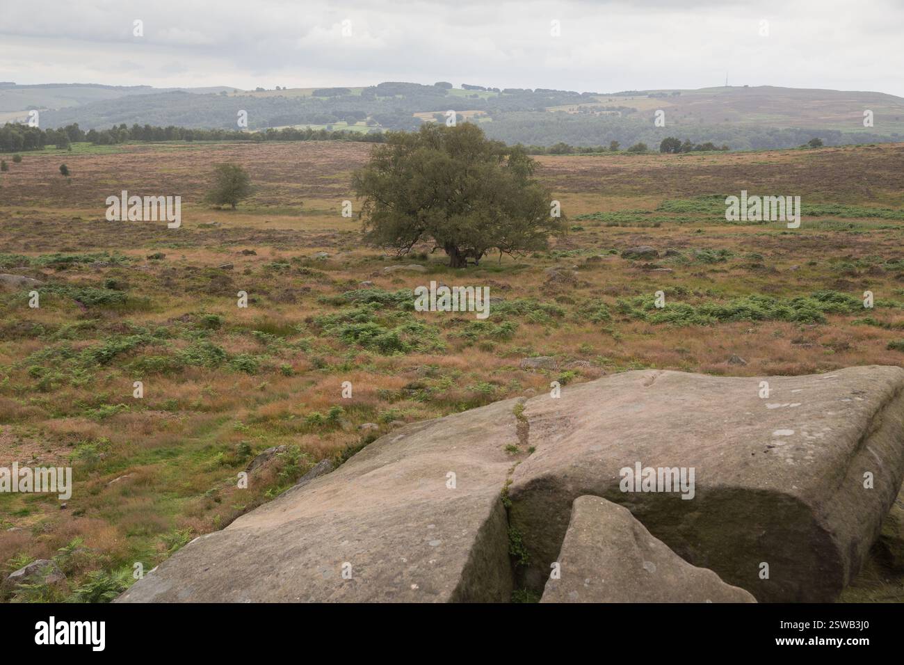 View of the moors at Stanage Edge, Peak District, UK. Large rock ...