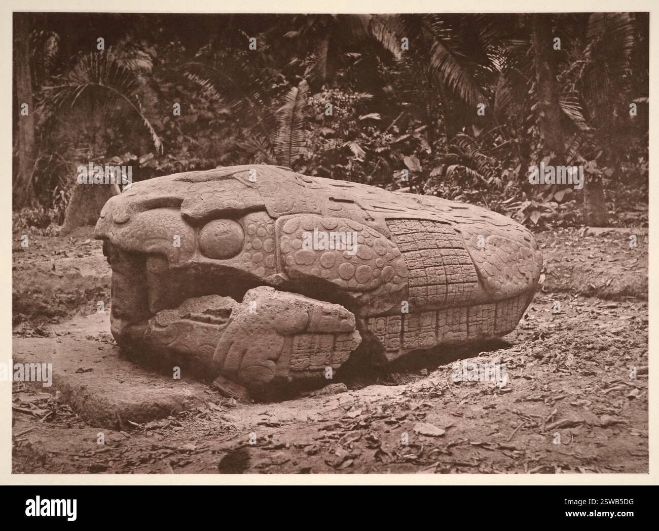 Monolithic Animal G. Quirigua, a Maya archaeological site in Guatemala ...